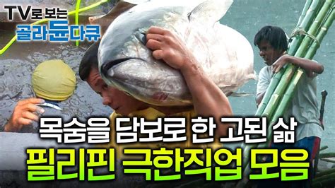 🏅목숨을 담보로 한 고된 삶 필리핀 극한 직업 레전드 모아보기🇵🇭ㅣ장비라곤 두 다리와 맨손이 전부ㅣ금광 광부ㅣ참치 사냥꾼ㅣ대나무 작업공ㅣ사탕수수 농장ㅣ극한직업ㅣ골라듄다큐