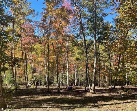 Beth Dockum Beth Dockum Added A New Photo