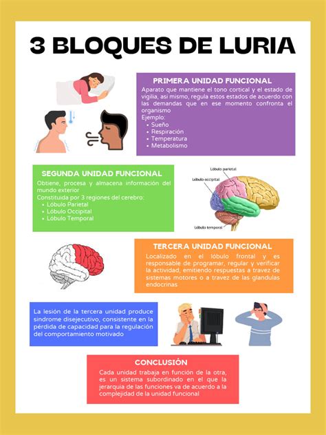 Bloques De Luria Pdf