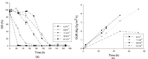 Monitoring Of Dissolved Oxygen Tension A And The Oxygen Uptake Rate Download Scientific