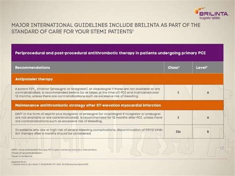Brilintastemipromotionalslidesupdate1 1 Pptx