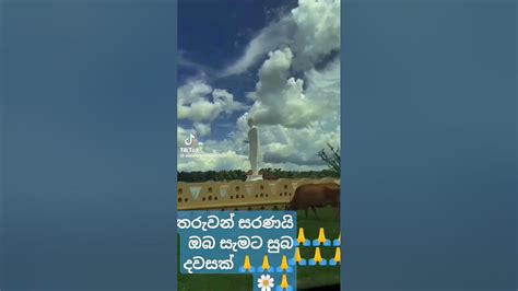 ලෙඩක් දුකක් කරදරයක් නොවේවා සියලු දෙනා හට පිංබර දවසක් Youtube