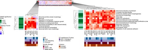 Heat Maps Showing Depict Gene Set Enrichment Results From The Stage 1 Download Scientific