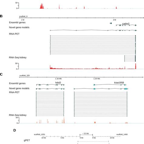 examples of genome annotation improvements track order ensembl