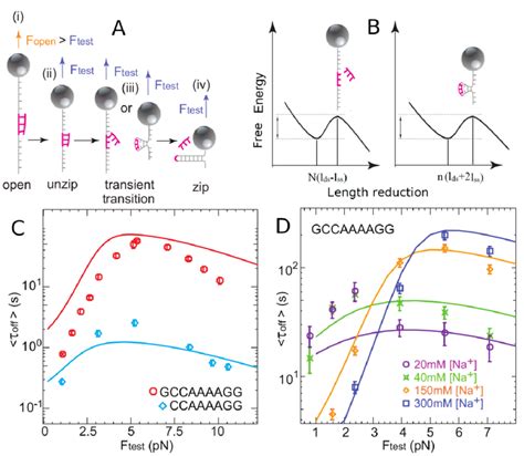 The Oligonucleotide Blocking Time τoff In The Loop Blocking Assay