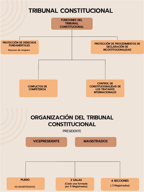 Esquemas Tribunal Constitucionalpdf Pdf