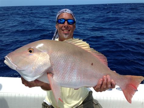 Mutton Snapper Fishing In The Florida Keys