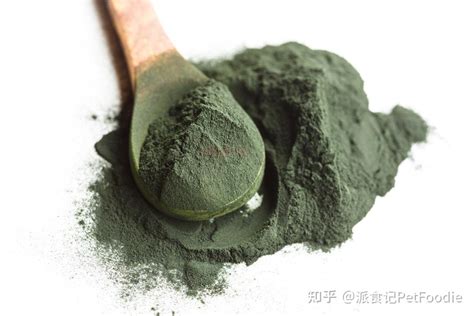 藻类产品：宠物食品的新选择，蓝色经济的新引擎 知乎