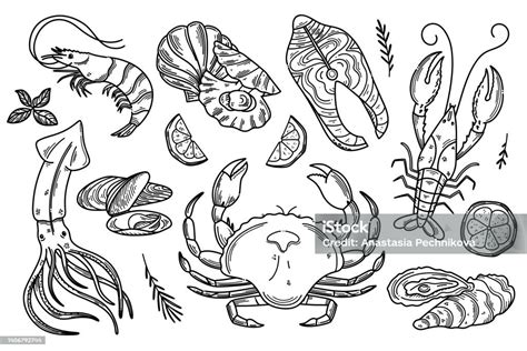 손으로 그린 해산물 세트 오징어 연어 가리비 랍스터 게 조개류 및 홍합의 장식 낙서 그림 오래된 잉크 스타일의 벡터 일러스트 레이 션 새우 해산물에 대한 스톡 벡터 아트 및