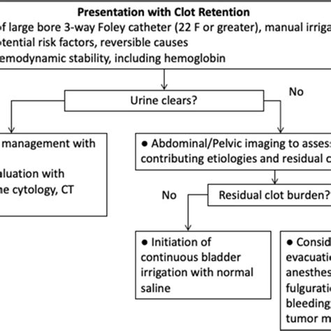 Algorithm For Managing Hemorrhagic Cystitis Reproduced With Permission