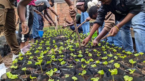 Forzza Gaming Rwanda Added A New Photo Forzza Gaming Rwanda