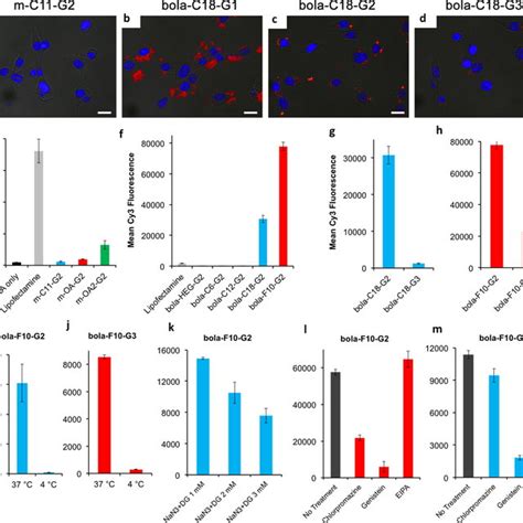 Synthesis And Purification Of Antibody Sirna Conjugates Arcs A Download Scientific Diagram