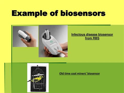 Ppt Biosensor Powerpoint Presentation Free Download Id5075655