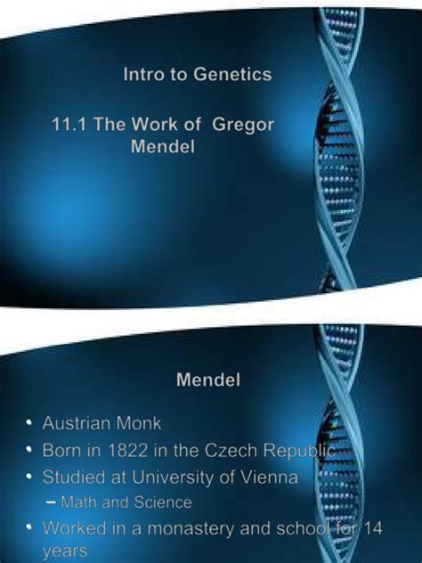 Meiosis2 1 Pdf Meiosis Ploidy