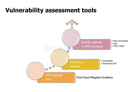 Picture Diagram Of Vulnerability Assessment Tools Stock Illustration Illustration Of