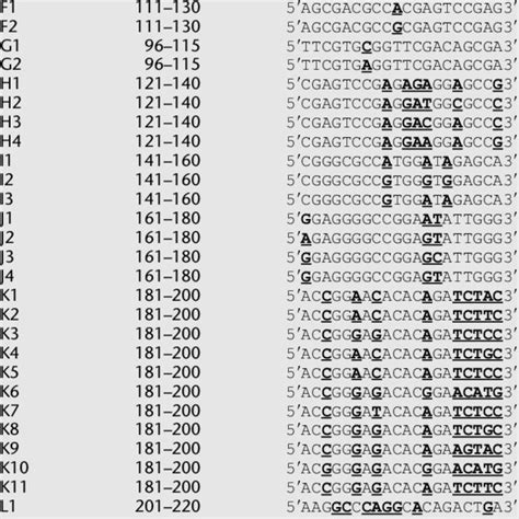 Sequences And Locations Of Oligonucleotide Probes For Hla B Exons 2 And 3 Download Table