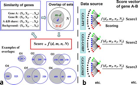 philosophy and workflow for scoring gene correlation by overlap a