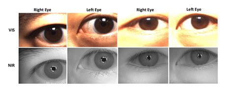 Vis And Nir Iris Images From The Polyu Bi Spectral Iris Database Download Scientific Diagram