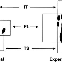 Schematic Representation Of The Parameters Assessed To Calculate The Download Scientific