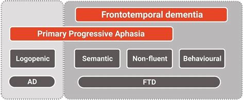 Bruce Willis Has Frontotemporal Dementia The University Of Sydney