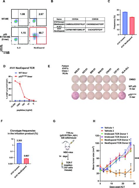 Expansion Of Cd8 Neoantigen Reactive Tils Targeting A P53 Neoantigen