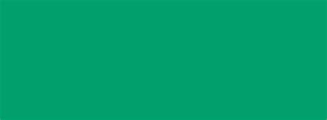 Green Ncs Solid Color Background