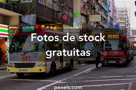 724 Fotos Y Imágenes De Mopsi Kong Gratis · Banco De Fotos Gratis