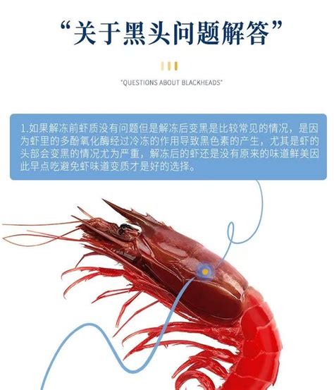 红魔虾鲜活超大刺身甜虾生腌海鲜水产非西班牙海捕海水鳌虾牡丹虾 阿里巴巴