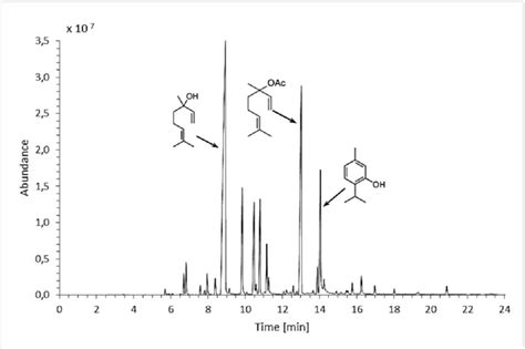 The Typical Gc Ms Chromatogram Of The Thymus Richardii Cultivar Download Scientific Diagram