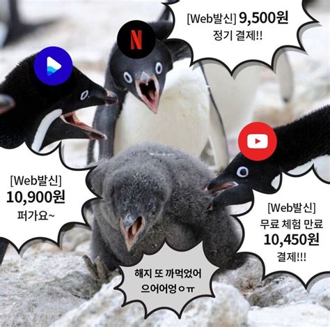 이 짤 진짜 무조건 나임 링커리어 커뮤니티