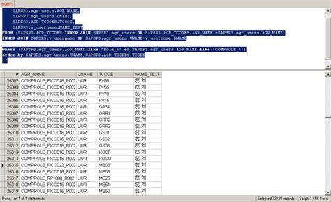 导出sap系统内的用户 角色 Tcode关系sap 角色 Tcode Csdn博客