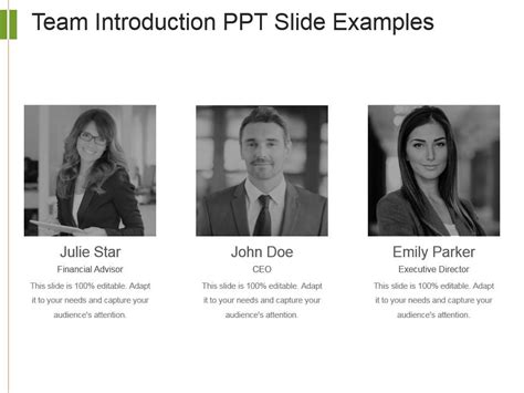 Team Introduction Ppt Slide Examples Templates PowerPoint Presentation Slides Template PPT