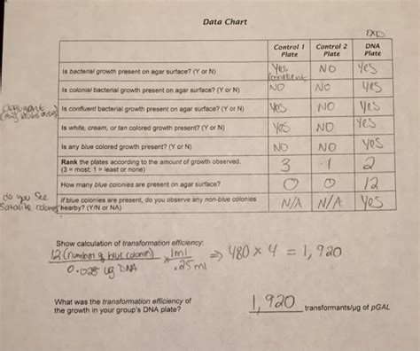 Solved Show Calculation Of Transformation Efficiency What