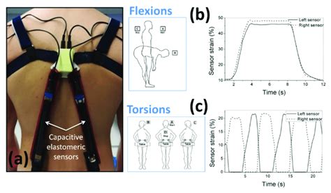 The Wearable Sensing System Based On A Pair Of Capacitive Elastomeric Download Scientific