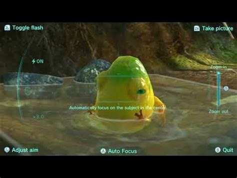 Pikmin Creature Documentary 9 Yellow Wollywog Territory Research Area