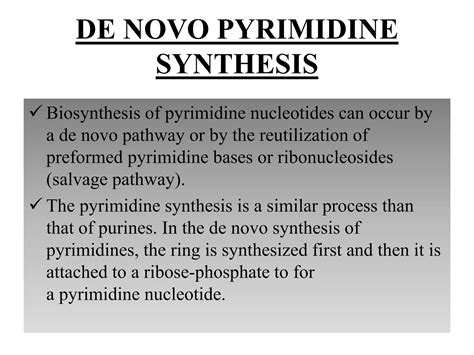 Pyrimidine Synthesis Pptx