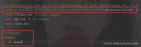 pycharm 中使用YOLOV 训练自己的数据集 yolov 训练自己的voc数据集 CSDN博客