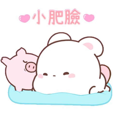 Sticker Maker 歡樂兔7動態