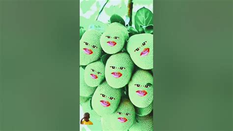 দিমুনা Youtube