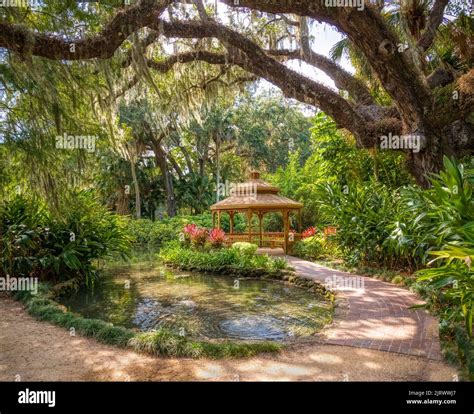 Pond In The Washington Oaks Historic District Of Washington Oaks
