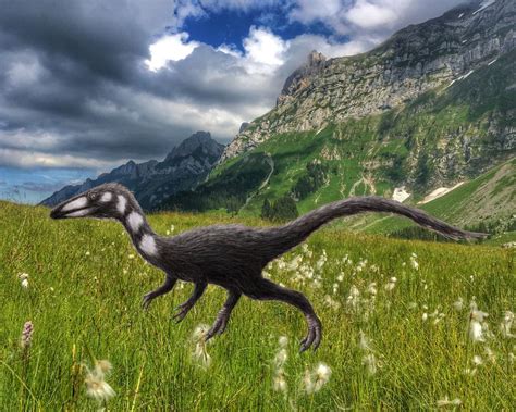 Heres The Procompsognathus A Small But Mighty Dino