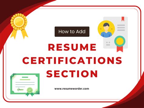 How To Add Skills Section In Resume 2025 Best Examples And Key Tips Resumeworder