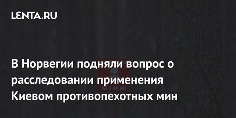В Норвегии подняли вопрос о расследовании применения Киевом