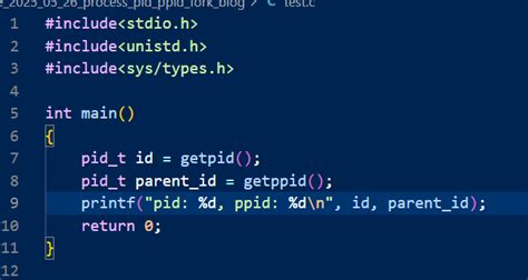 【linux 学习计划】 进程概念与本质 Pid And Ppid 进程创建与多进程（fork） Csdn博客