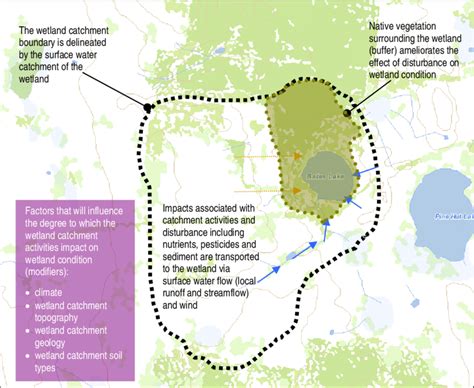 Conceptual Diagram Showing A Wetland In The Wimmera Region Of Victoria