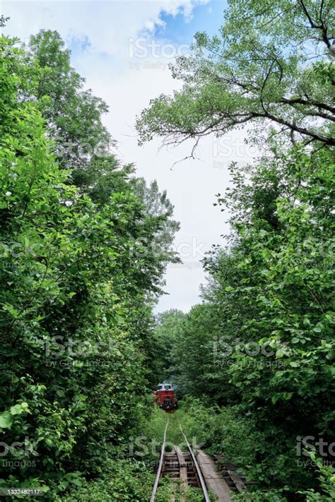 아름다운 오래된 빈티지 역사적인 증기 기관차 오래된 빨간 기관차는 협곡의 울창한 여름 녹색 숲 한가운데에 있는 좁은 게이지 철도에 서 있으며 굴뚝에서 연기가 쏟아져 나오고