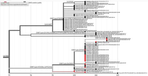 fy 8 s t572i sublineage gained s t478r 40seqs and then s p521q 17