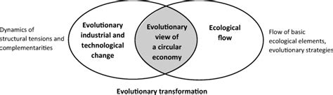 Positioning Of The Framework In Relation To Evolutionary And Ecological Download Scientific