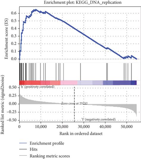 Gsea Analysis Kegg Pathways Upper Side And Biological