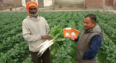 Nishant Kumar Singh Posted On Linkedin